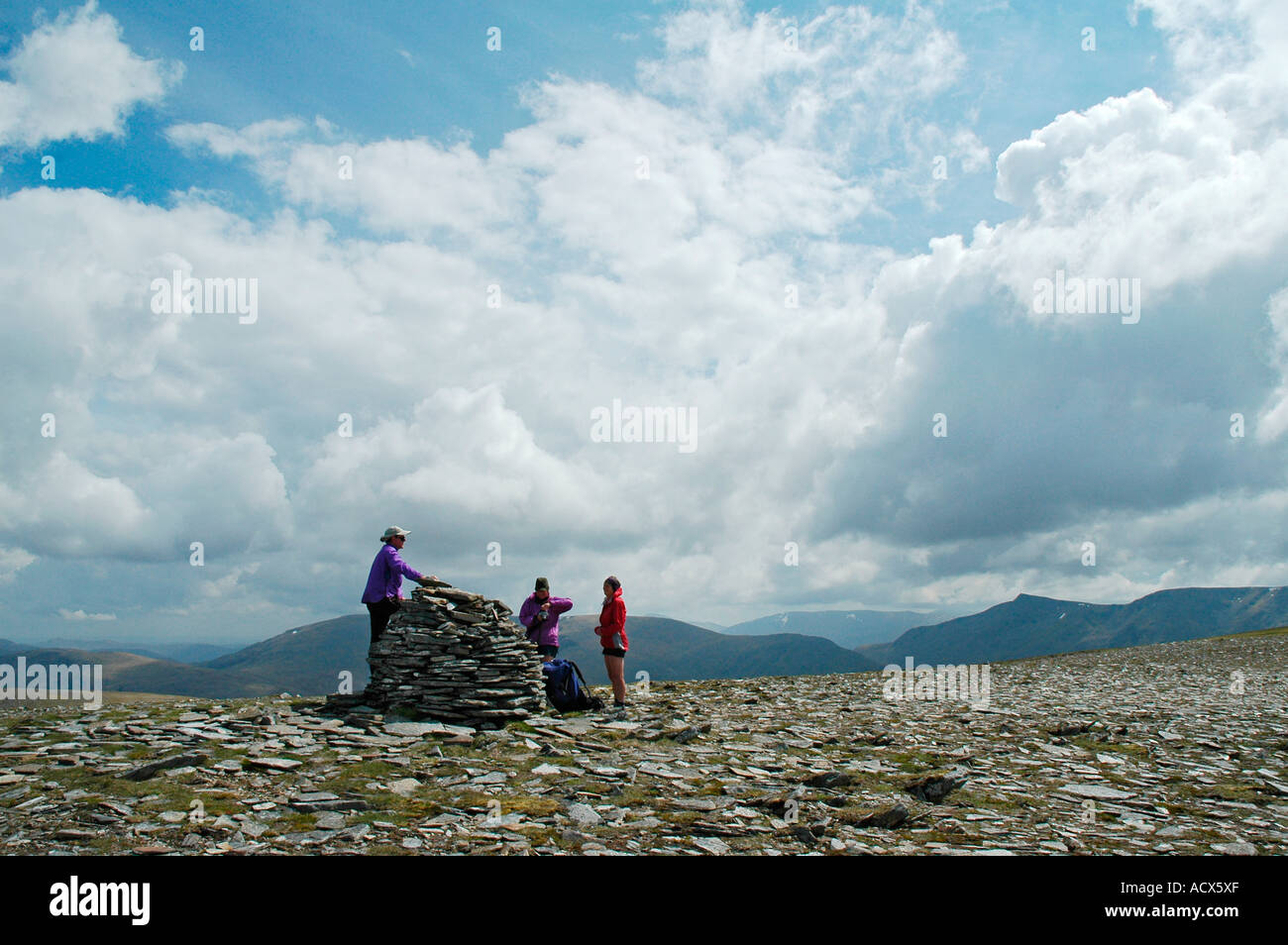 At the summit of Carn Gorm in the Glencarron and Glenuig Forest ...