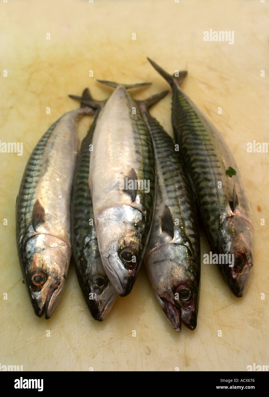 Fishmongers and street hi-res stock photography and images - Alamy