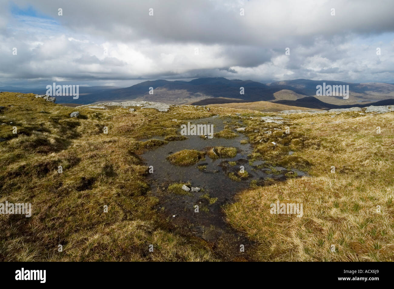 Braemore forest hi-res stock photography and images - Alamy