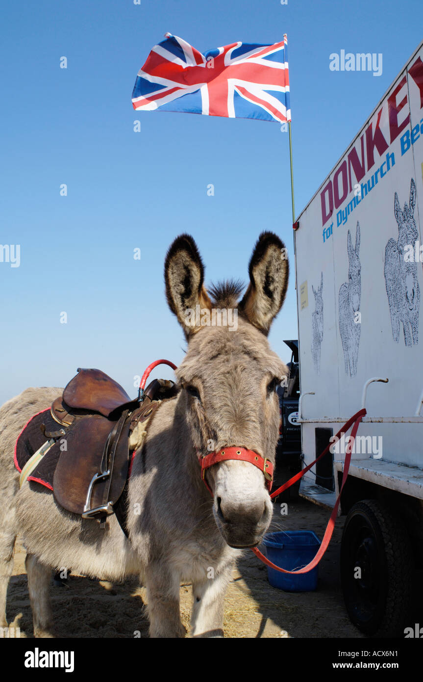 donkey rides on Dymchurch beach Kent coast UK Stock Photo - Alamy