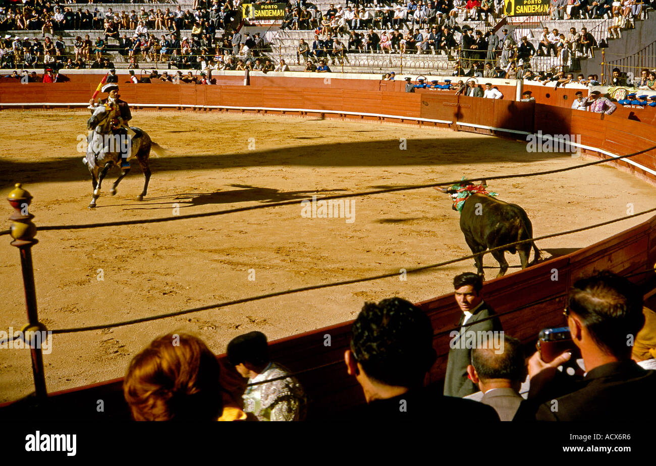 Brown bullring red bull ring hi-res stock photography and images - Alamy