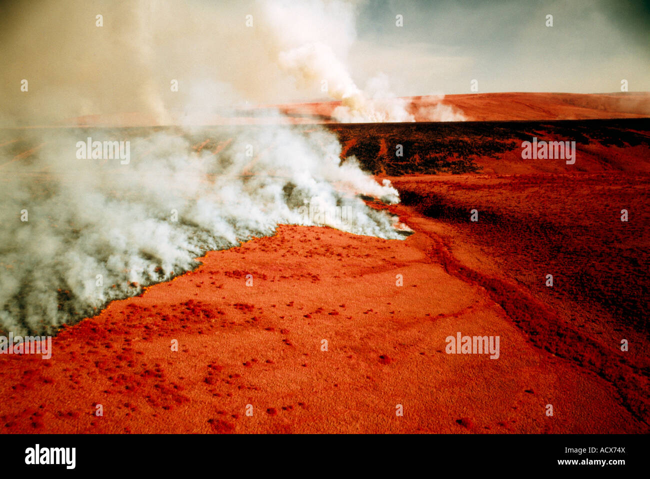 Alaskan wildfire hi-res stock photography and images - Alamy