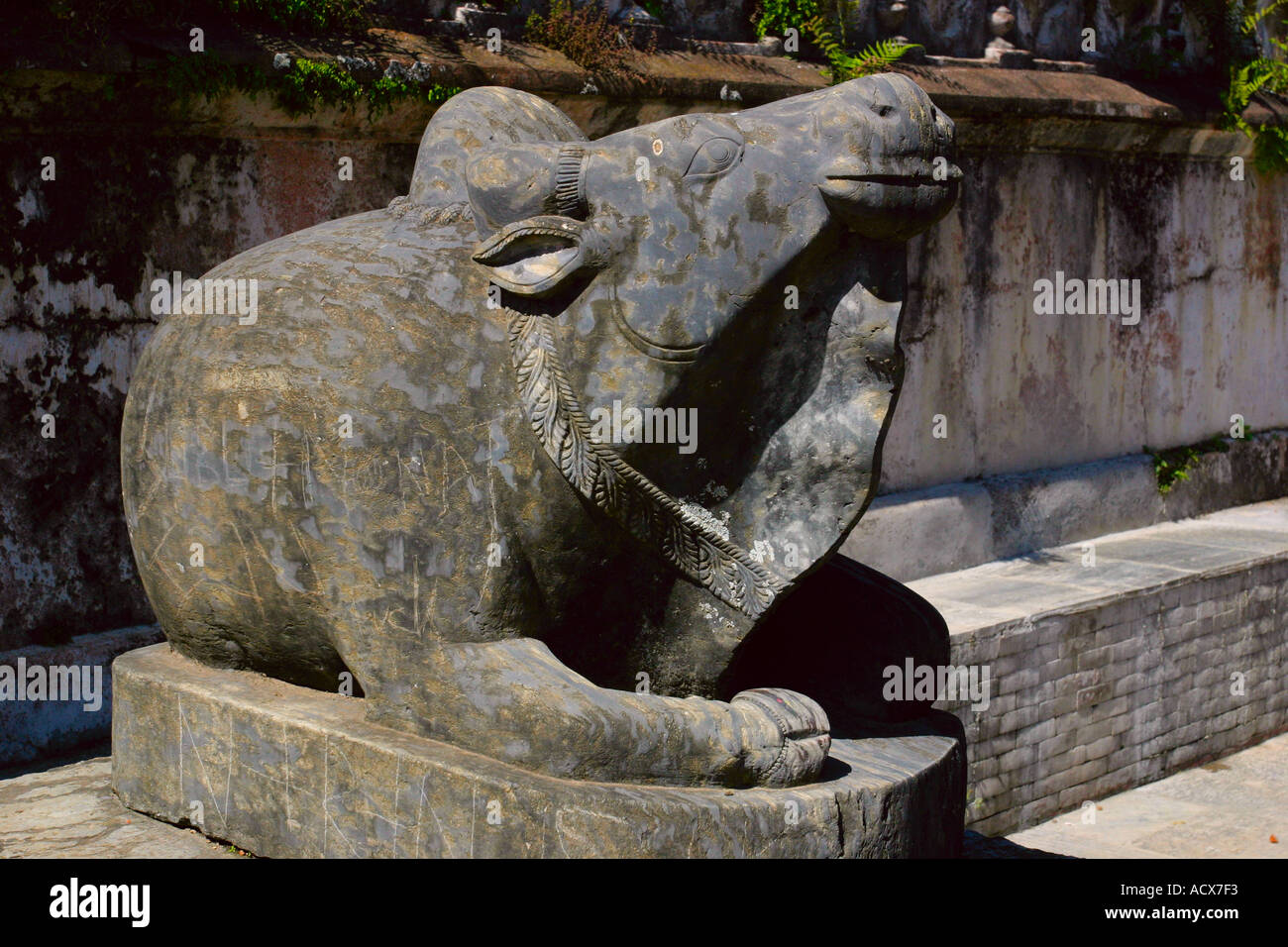 Bull stone hi-res stock photography and images - Alamy