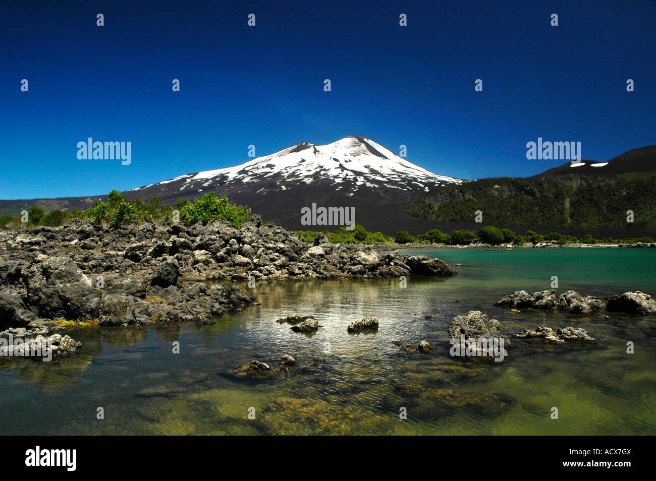 View of the volcanos in Conguillio national park Chile Stock Photo - Alamy