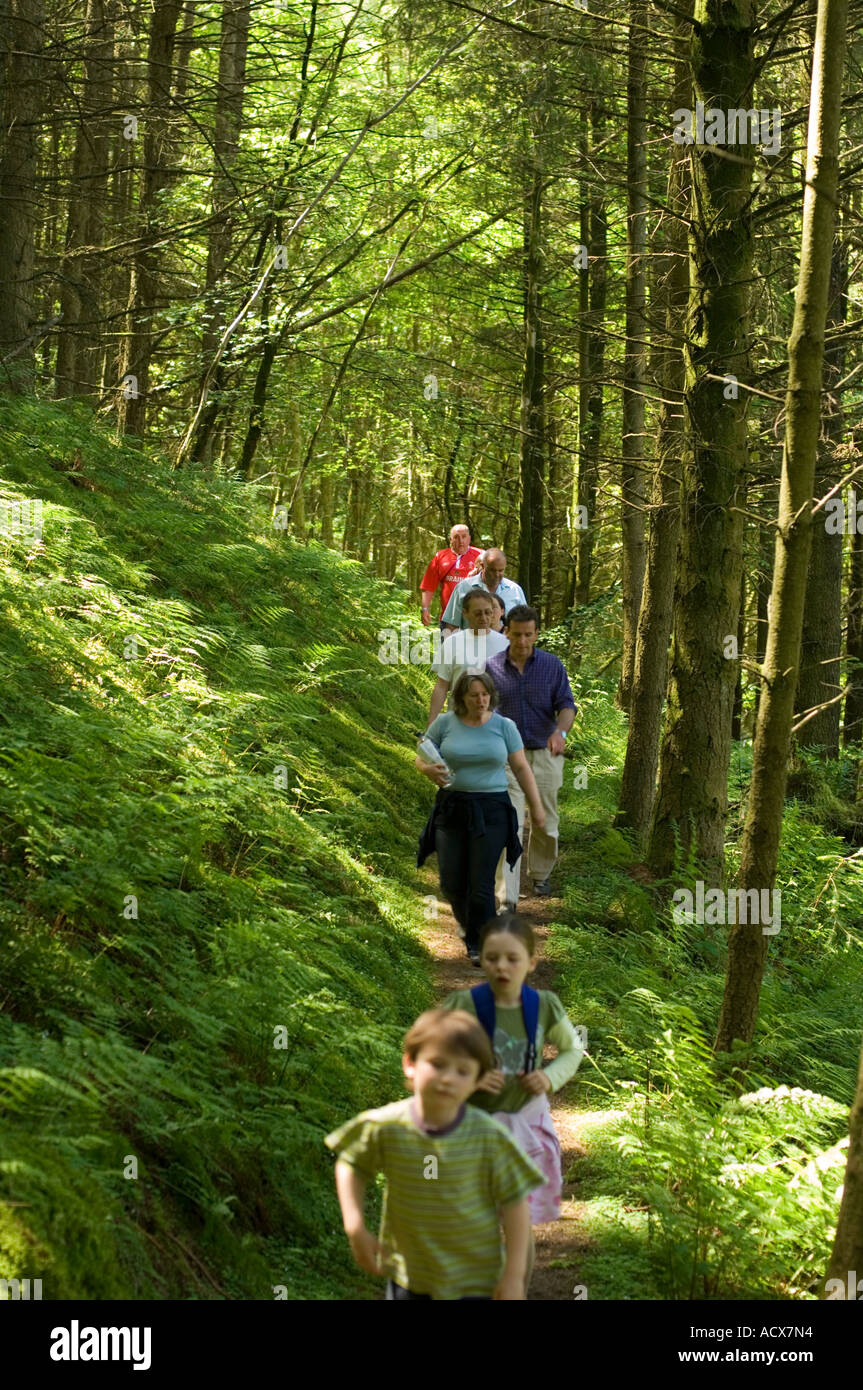 Hafod forest hi-res stock photography and images - Alamy