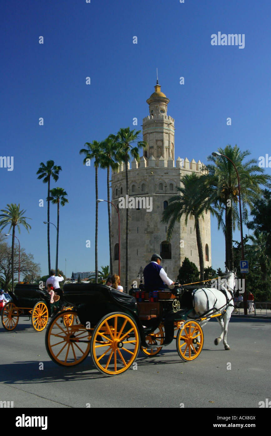 Cart pulled by horses in front of the Torre del Oro in Seville, Spain ...