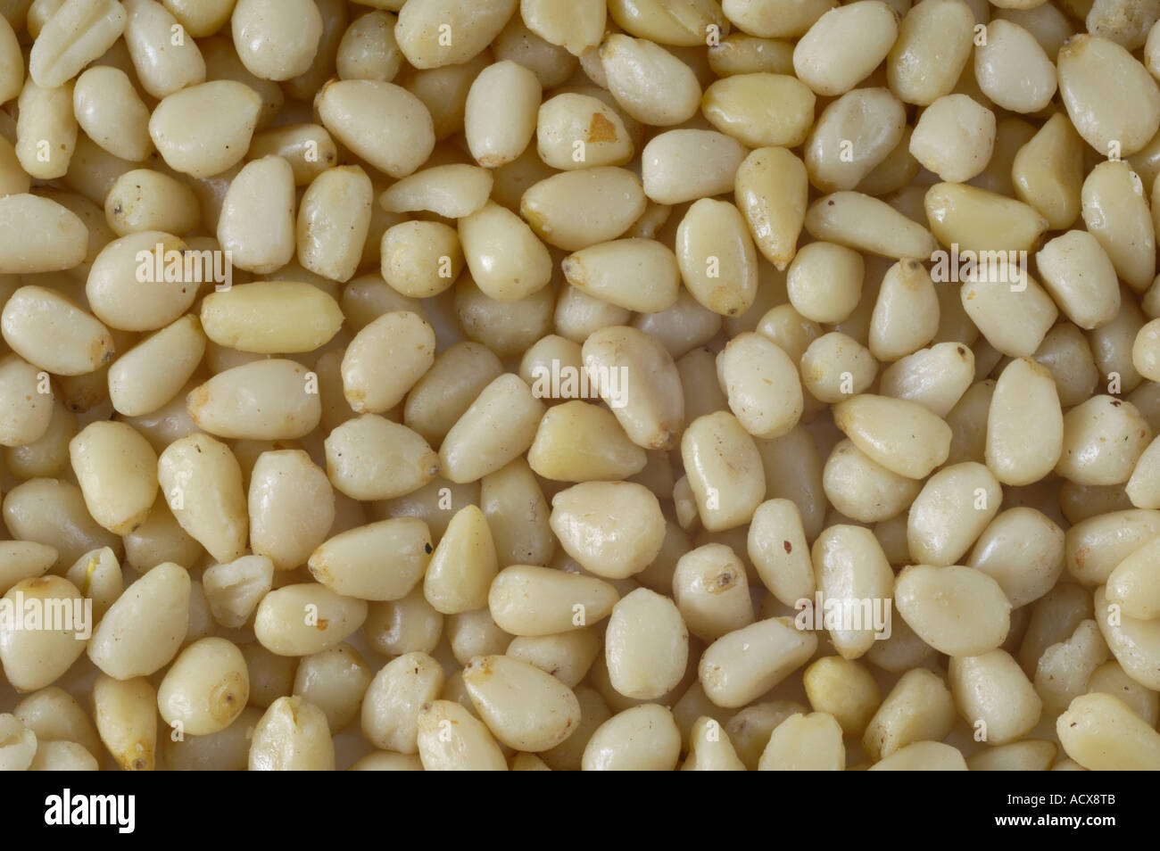 Siberian Cedar nut Stock Photo - Alamy