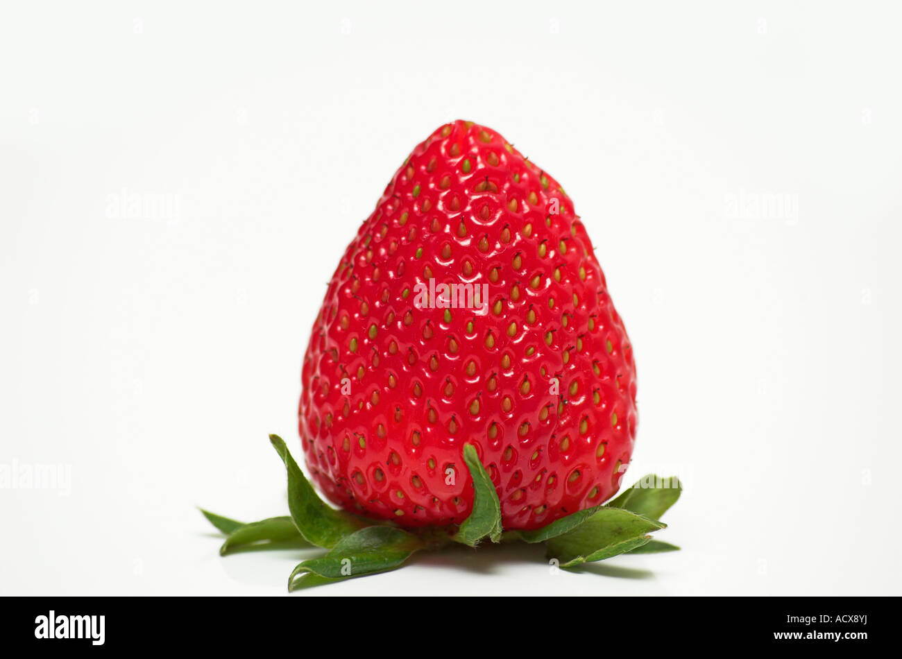 Strawberry close up Stock Photo - Alamy