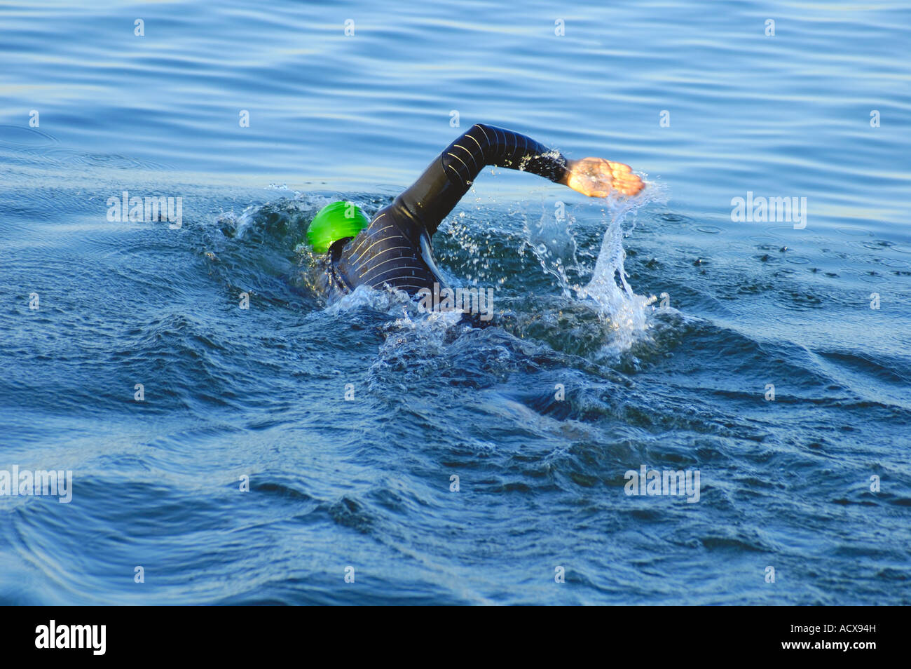 Long distance swimmer hi-res stock photography and images - Alamy