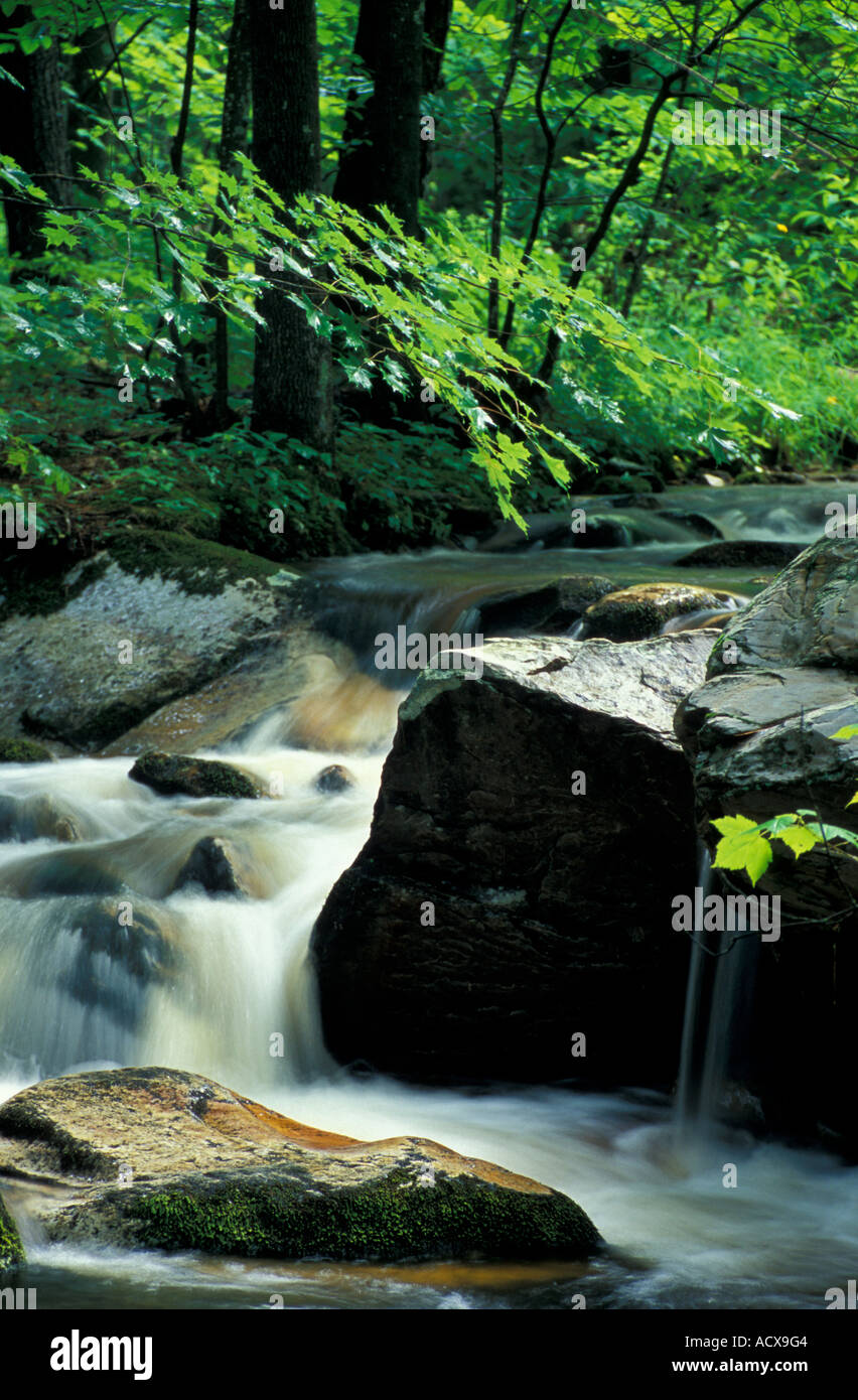 Stratton VT Water cascades down the rocks of Broad Brook in Vermont s ...