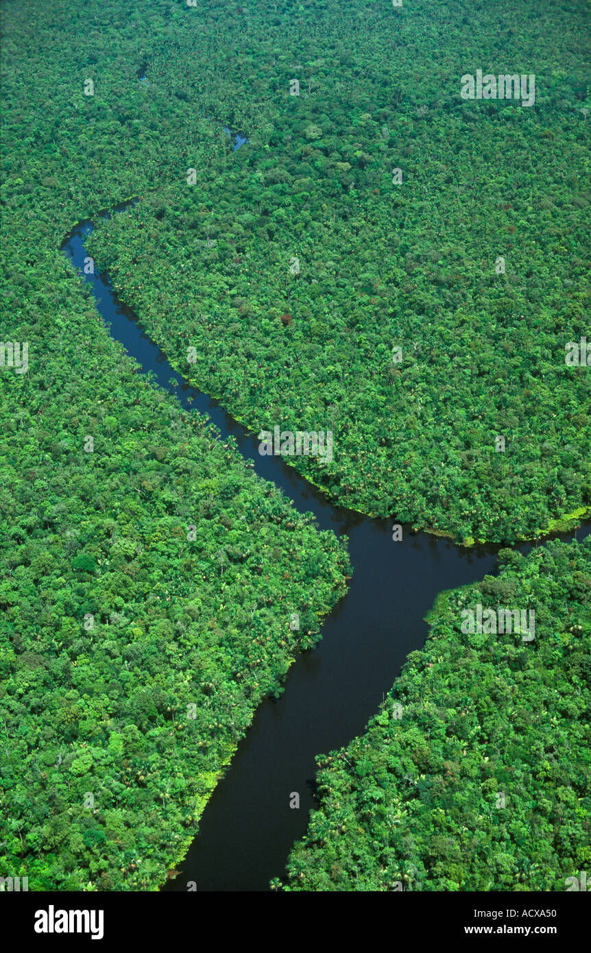 Aerial of river in tropical rain forest Marajo Island Para Brazil Stock ...