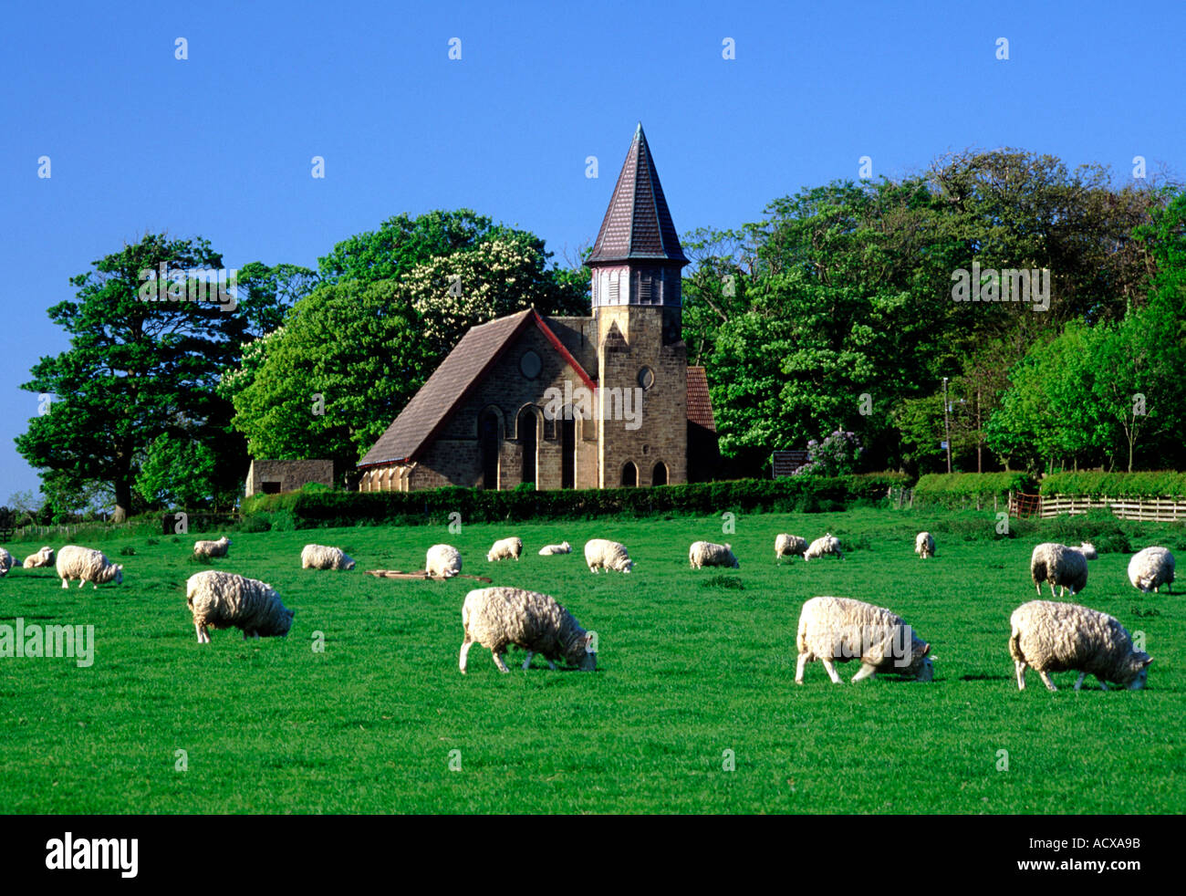 Reform land hi-res stock photography and images - Alamy