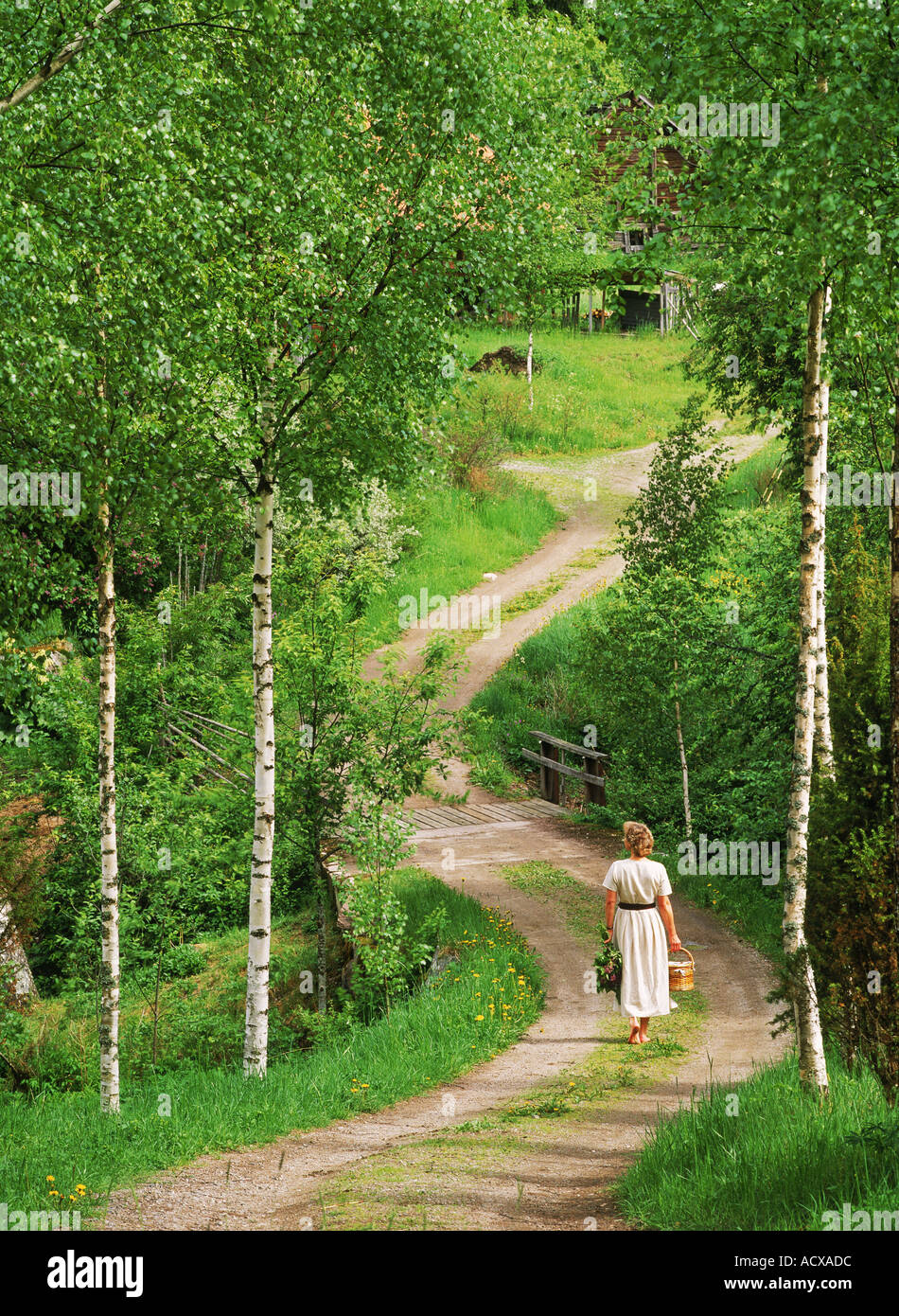 Woman with basket walking on country road in rural Minnesota in late ...