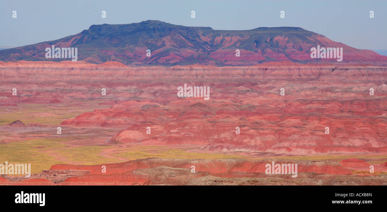 painted desert petrified forest national park northern arizona Stock ...