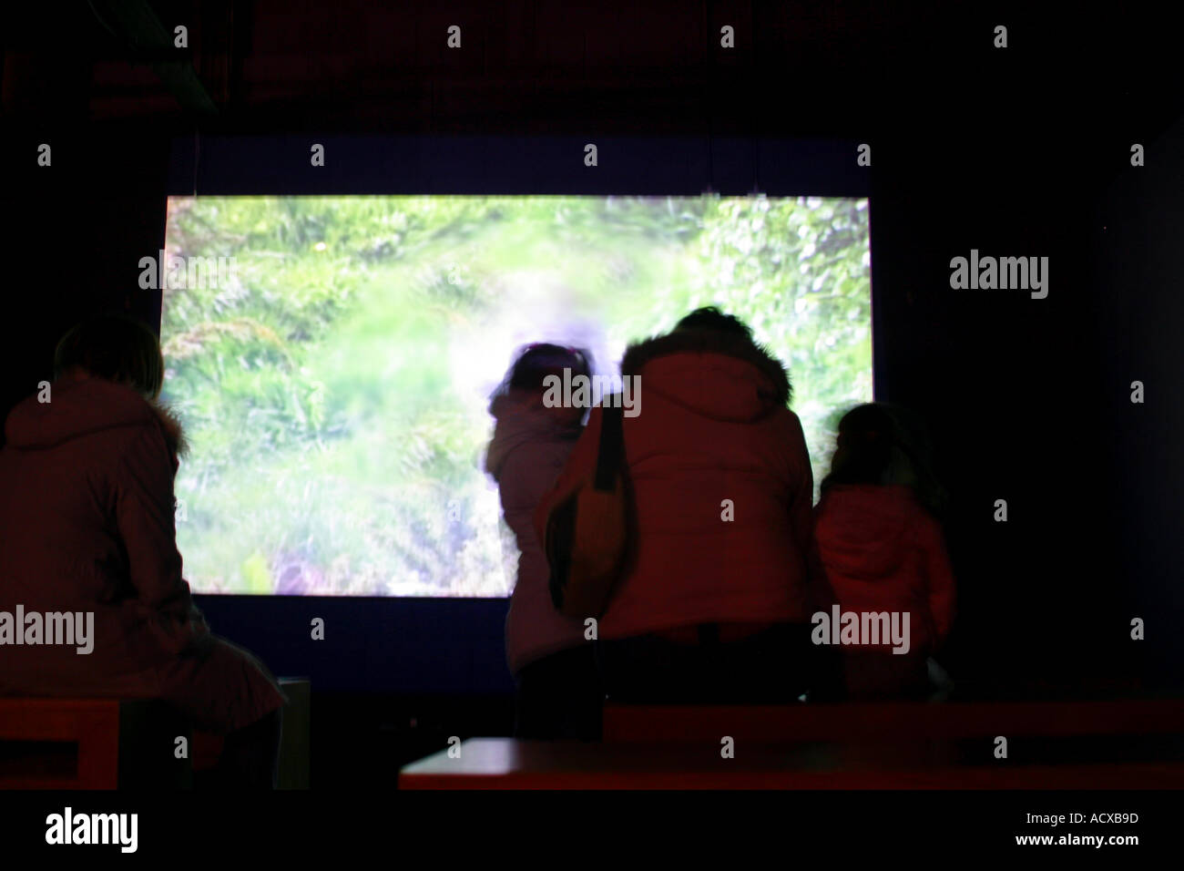 Group of people watching educational film show presentation Stock Photo ...