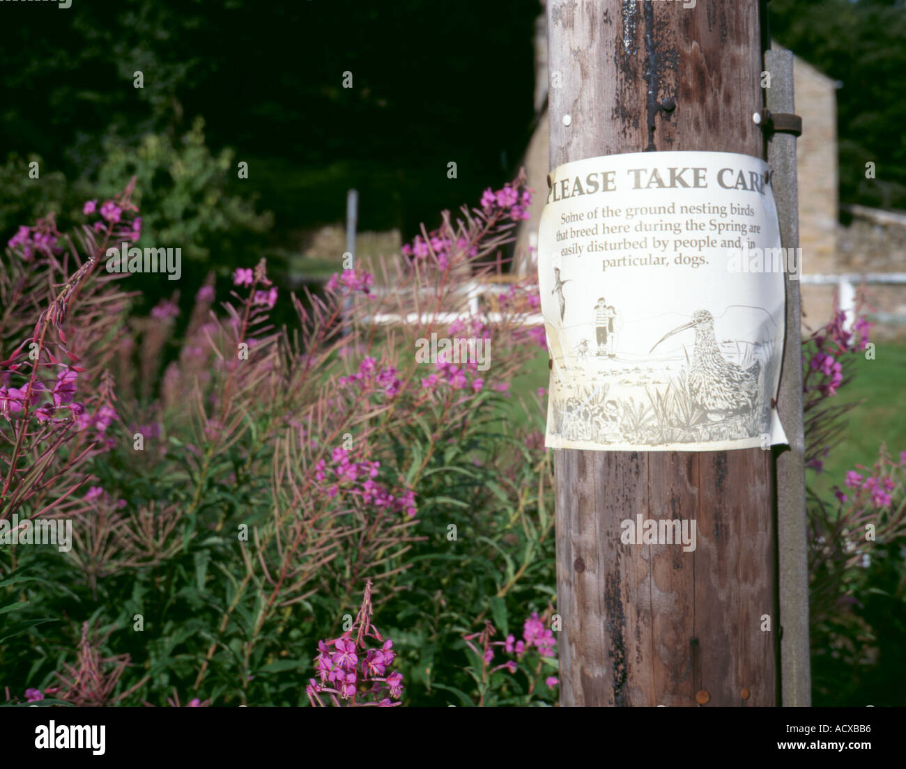 Do not disturb birds sign hi-res stock photography and images - Alamy