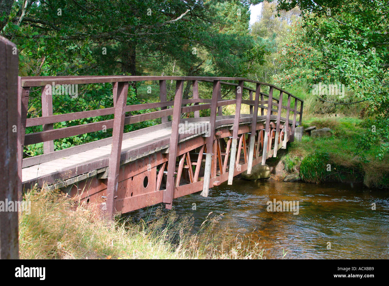 Wooden footbridge over river on forest walk Stock Photo - Alamy