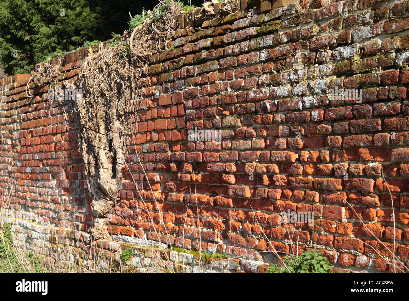 Brick boundary wall of the 17th century Bridge Place, Bridge, Kent ...