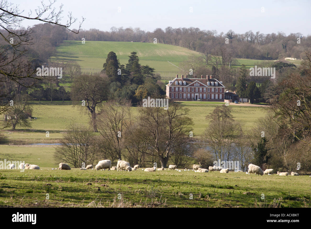 Sheep in pasture with Bourne Park, Bishopsbourne, Kent, 18th century ...