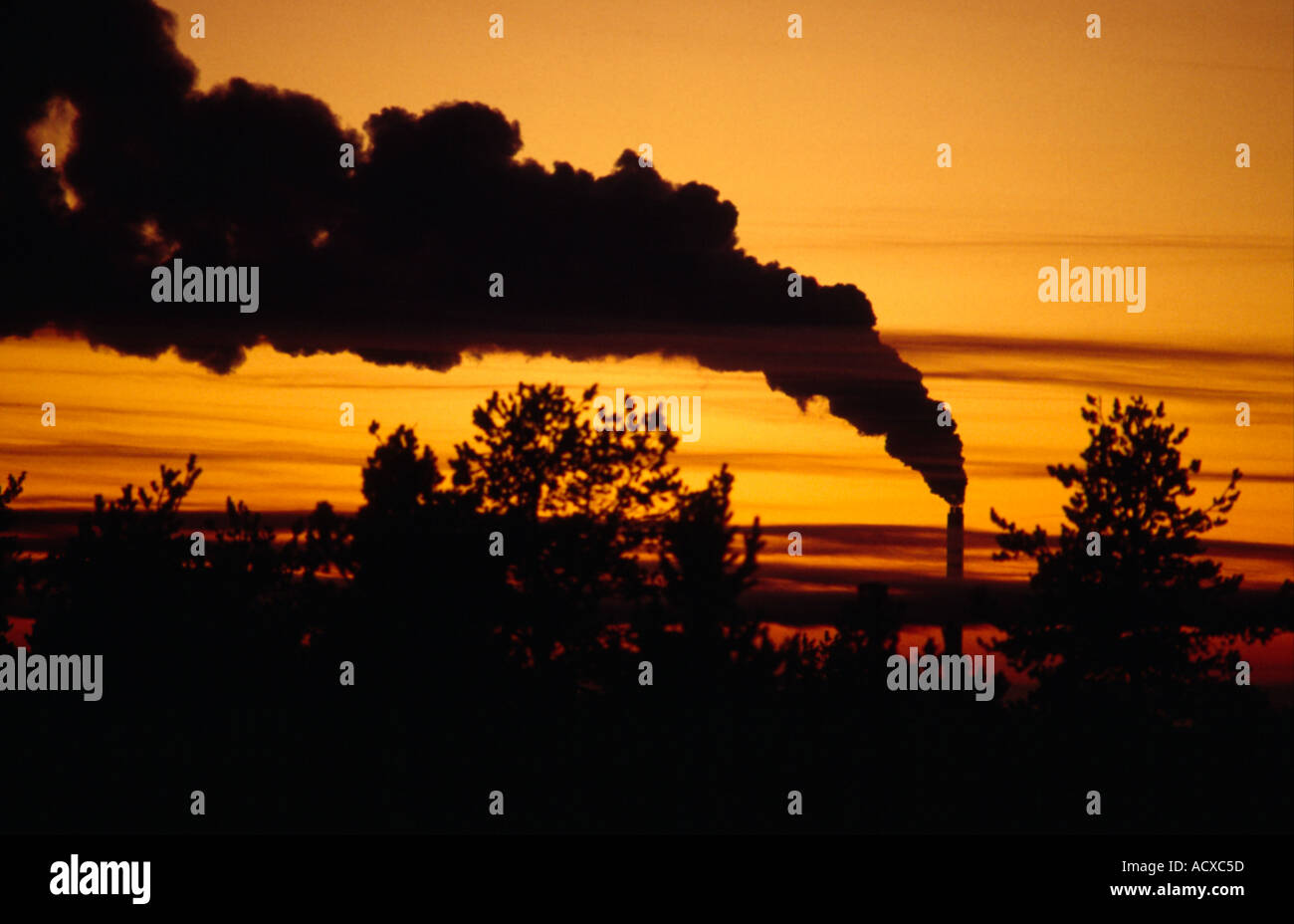 Smokestacks pollution at sunset Stock Photo - Alamy