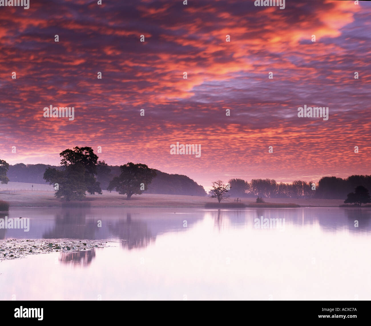 Fawsley northamptonshire hi-res stock photography and images - Alamy