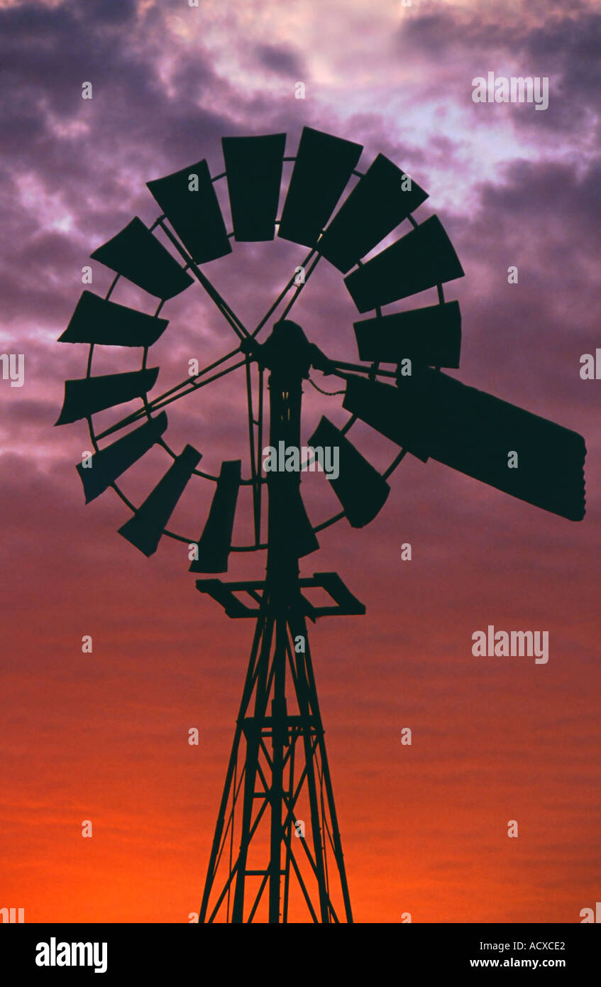Australian windmill pumping water hi-res stock photography and images ...