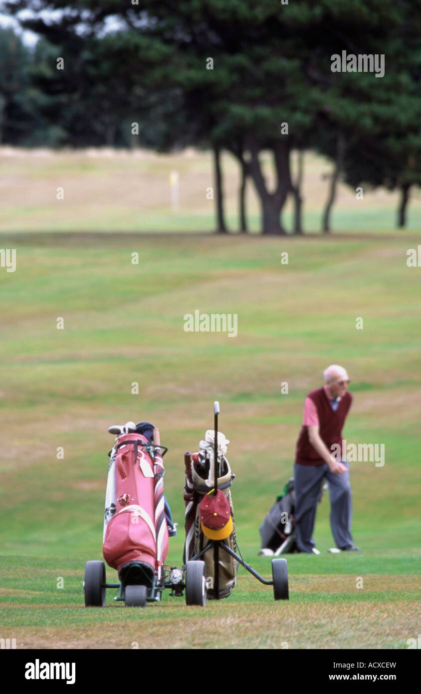 A typical english golf course scene in summer with golfers trolleys and ...
