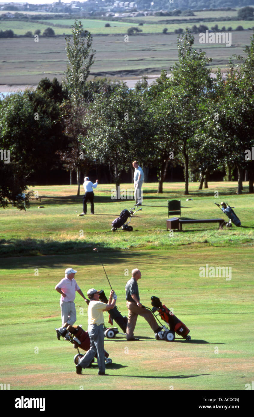 A typical english golf course scene in summer with golfers trolleys and ...