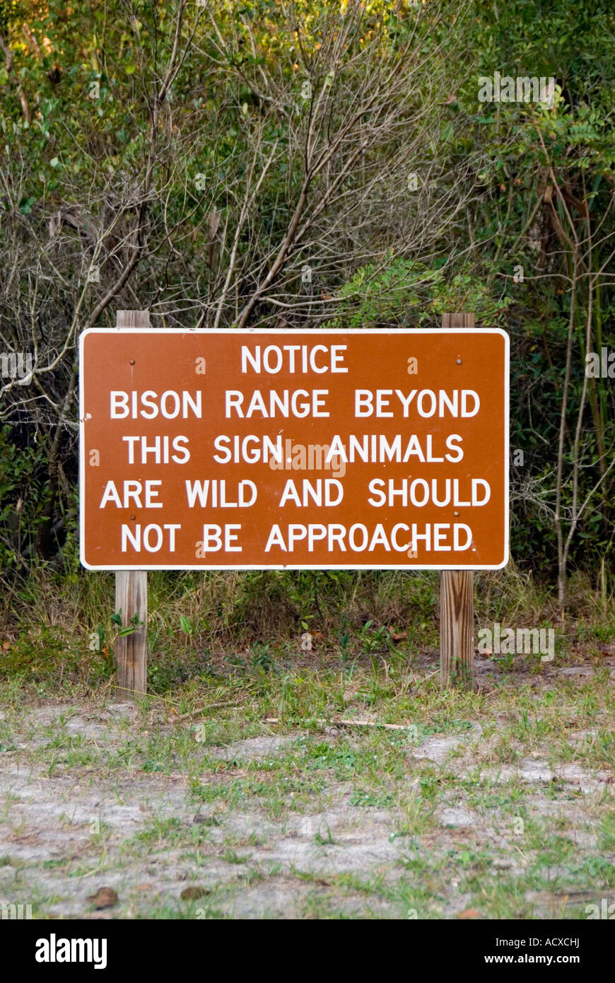 Florida Paynes Prairie Preserve Florida bison warning sign danger odd ...