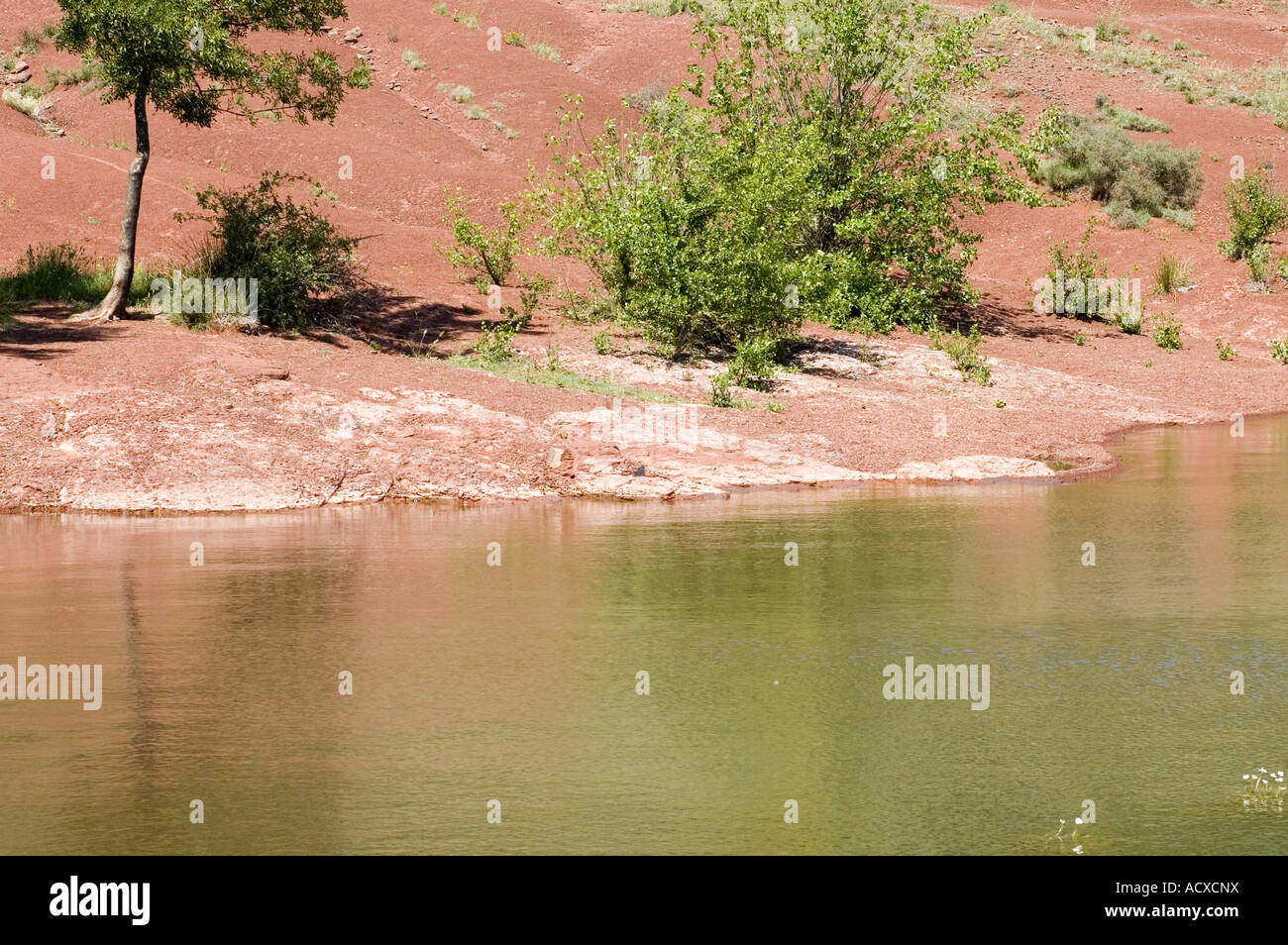France Languedoc Roussillon Hérault landscape with red soil at Lac du ...