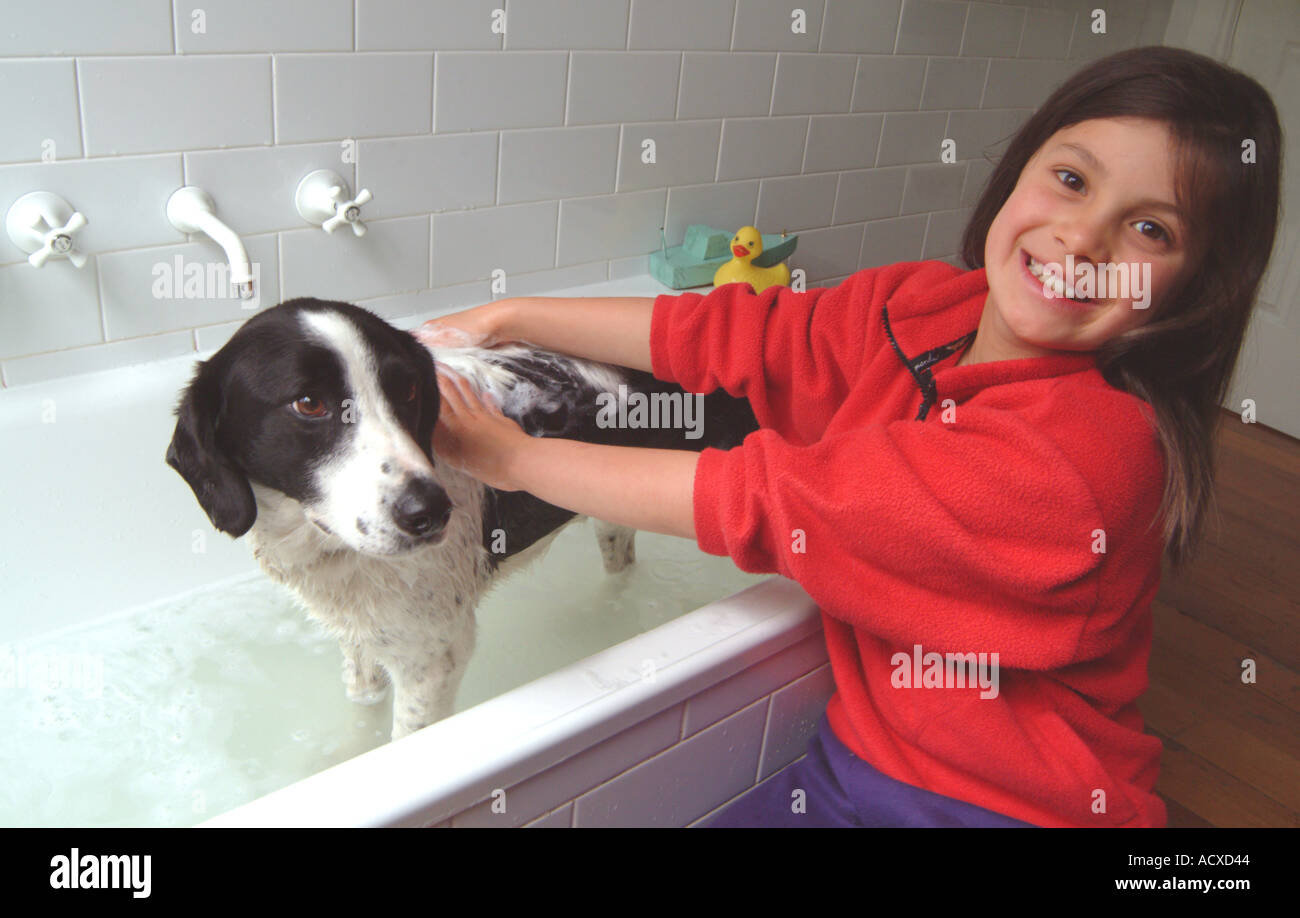 Washing Dog High Resolution Stock Photography and Images - Alamy
