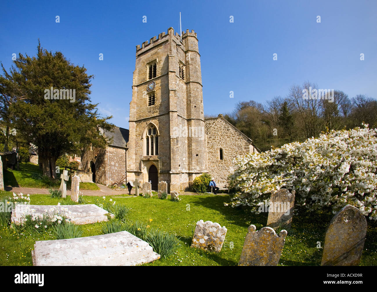 Village parish church and graveyard Salcombe Regis Devon in spring with ...