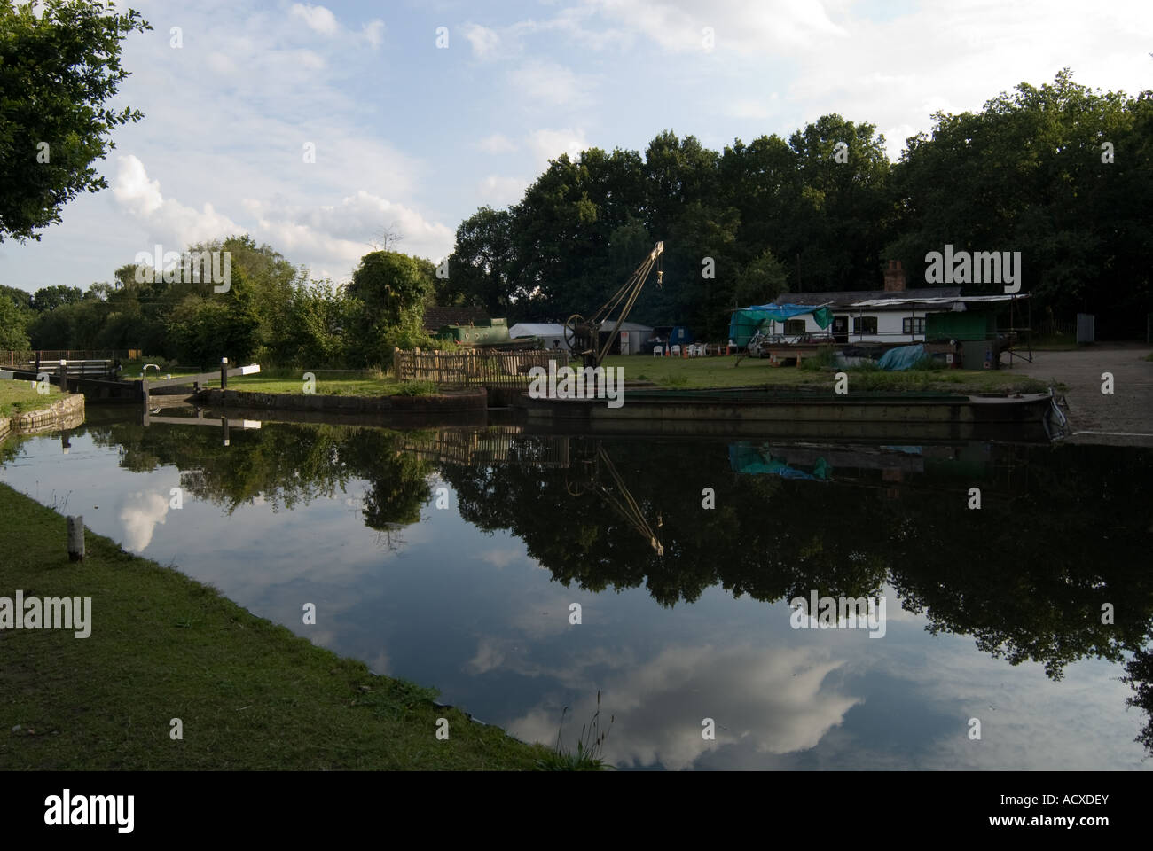 Ash surrey hi-res stock photography and images - Alamy