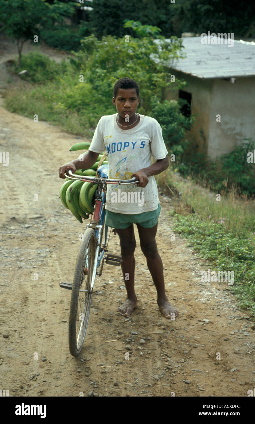 Boy wheeling bicycle with bunch of bananas in Venezuela Stock Photo - Alamy