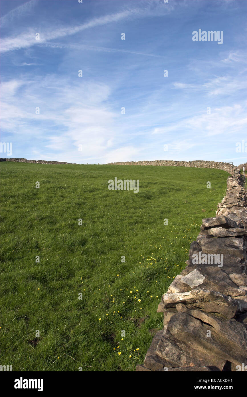 Farm field near Tideswell in the Derbyshire Peak District National Park ...