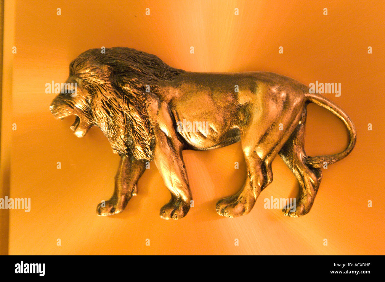 Lion copper hi-res stock photography and images - Alamy