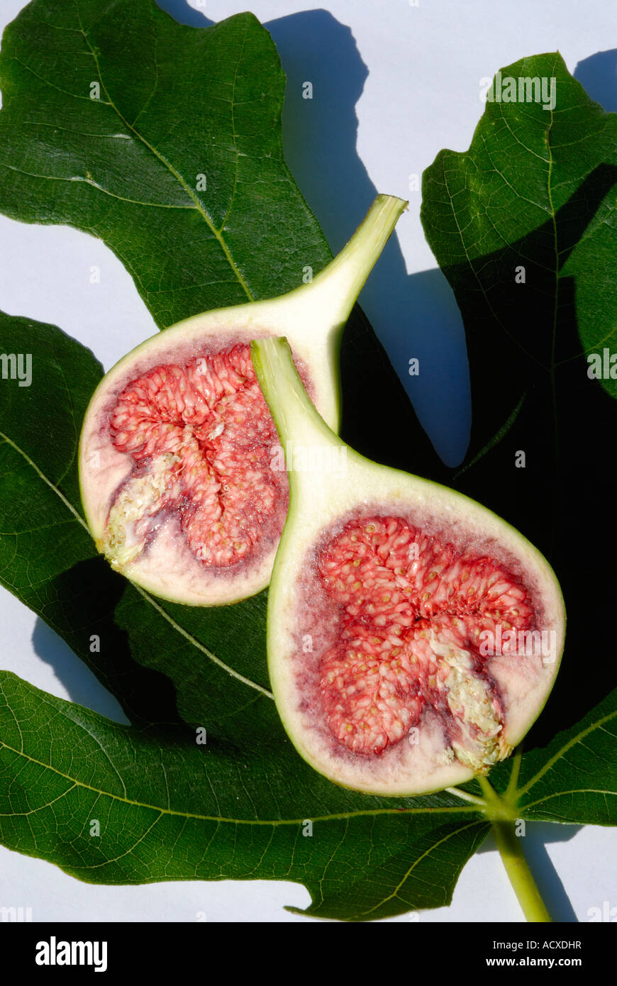 Common Fig Tree fig cut in half against a background of a leaf Stock ...