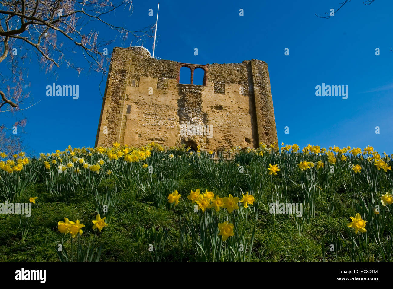 Keep surrey england hi-res stock photography and images - Alamy