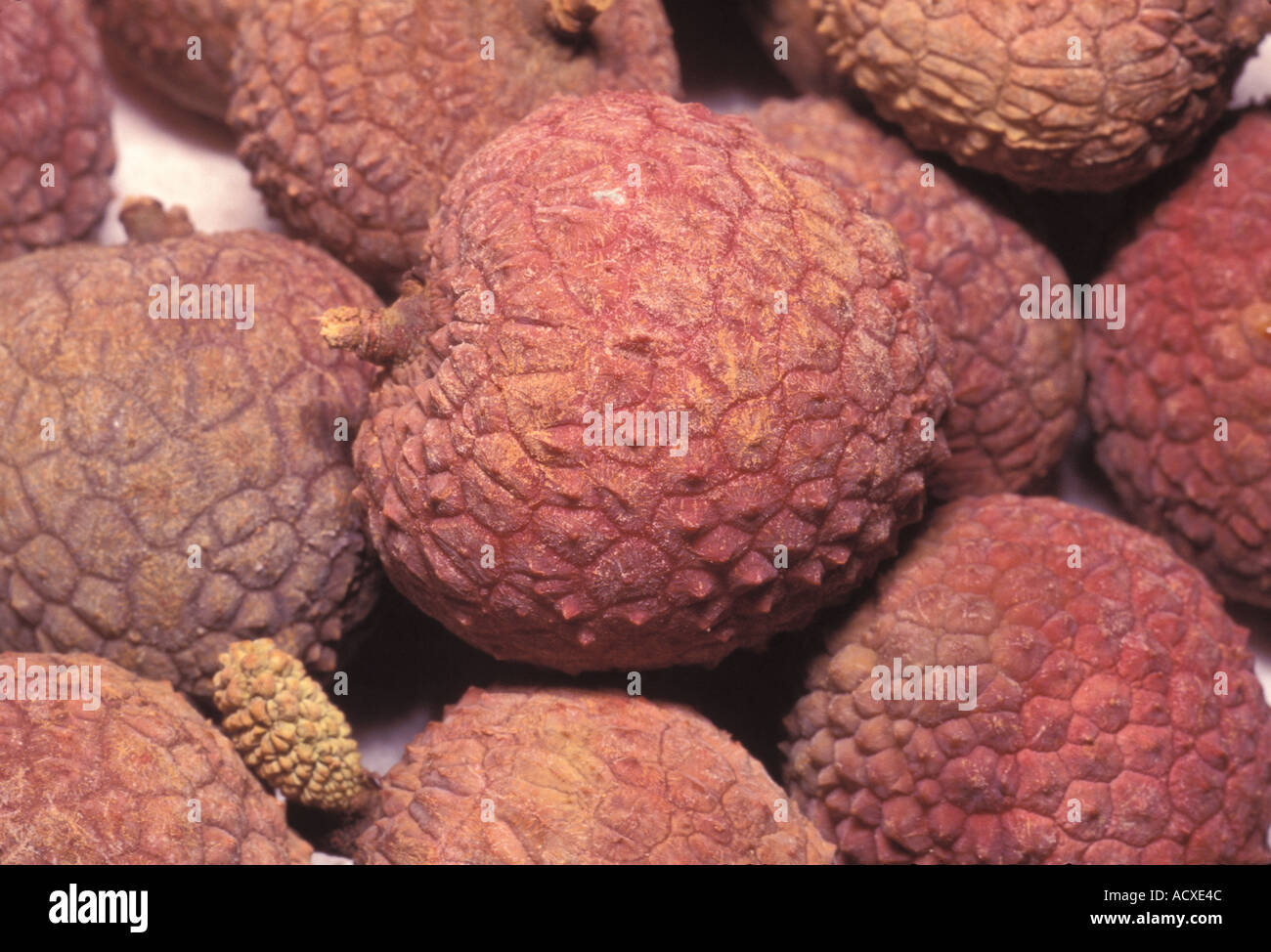 Liche hi-res stock photography and images - Alamy