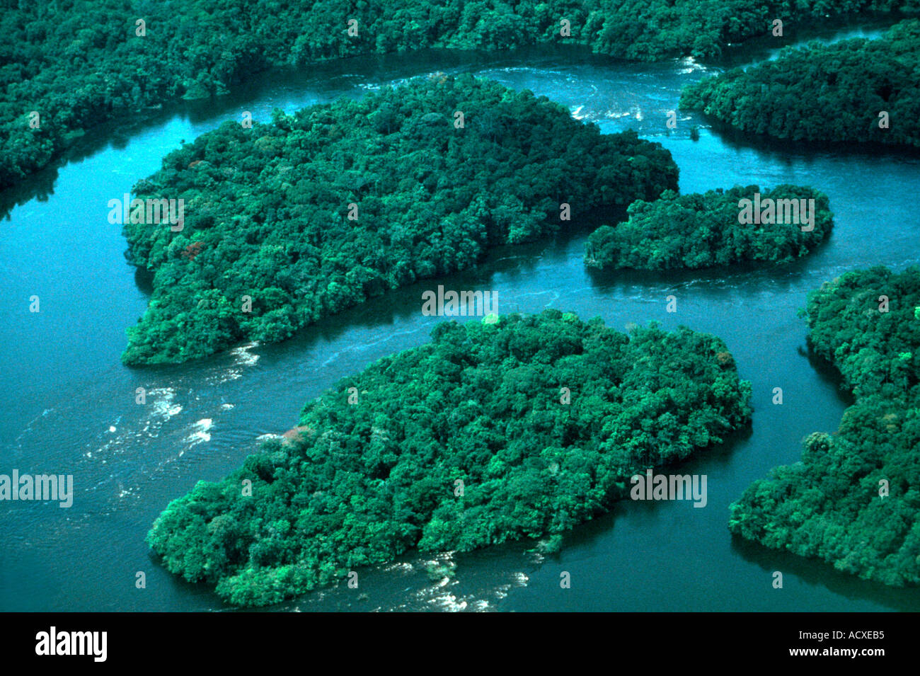 Amazon rainforest birds eye view hi-res stock photography and images ...