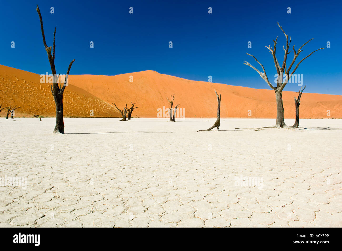 deadvlei Dunes Namibia Stock Photo - Alamy