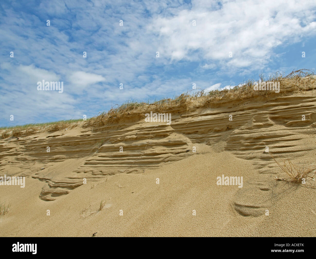 erosion of sand in dunes at coast Stock Photo - Alamy
