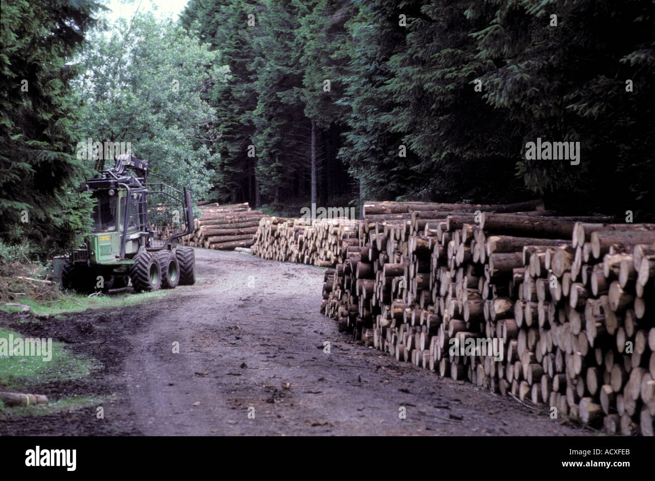 INDUSTRY LUMBER Logging Stock Photo - Alamy