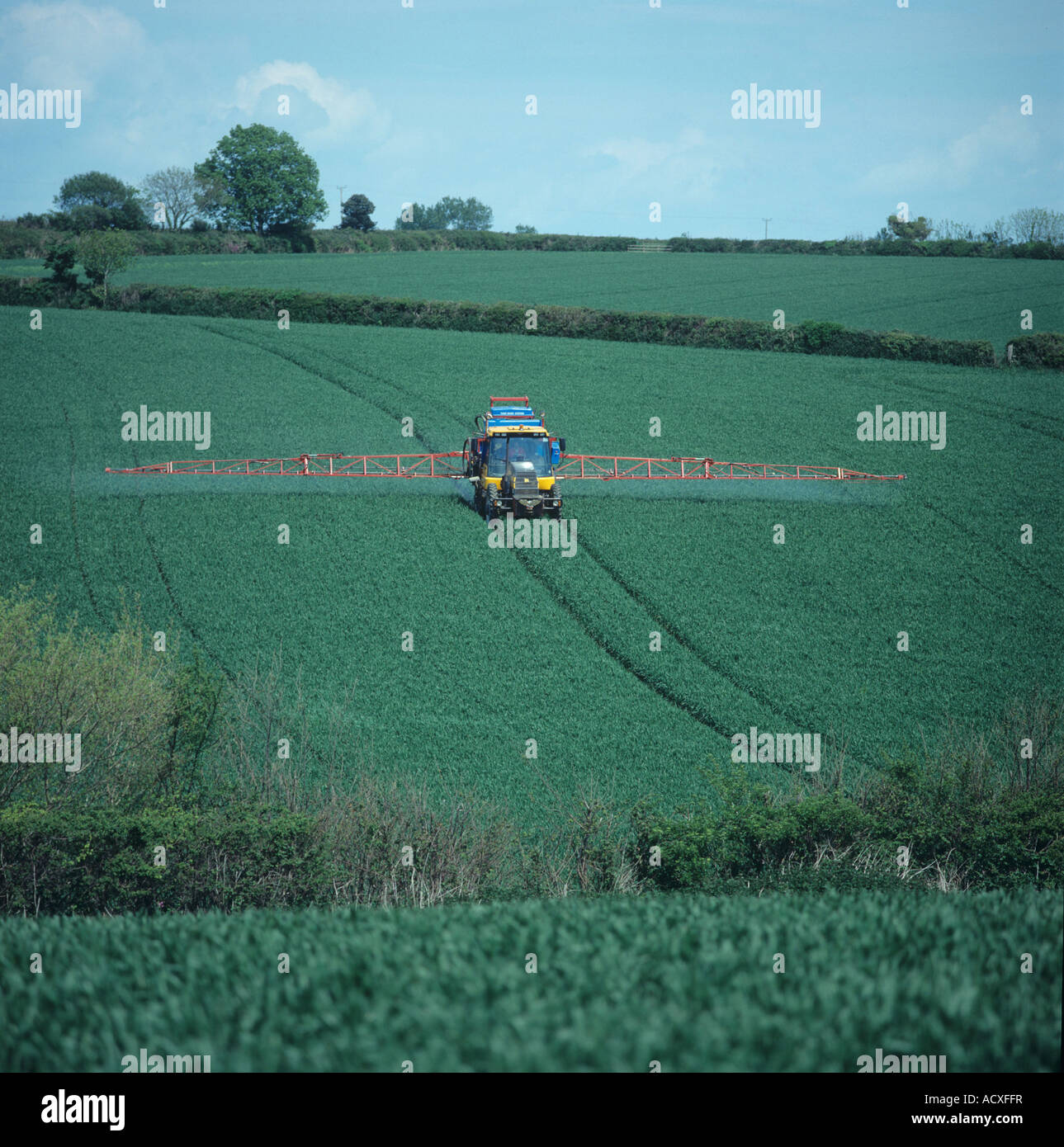 Fastrac tractor with mounted sprayer spraying a wheat crop in early ...
