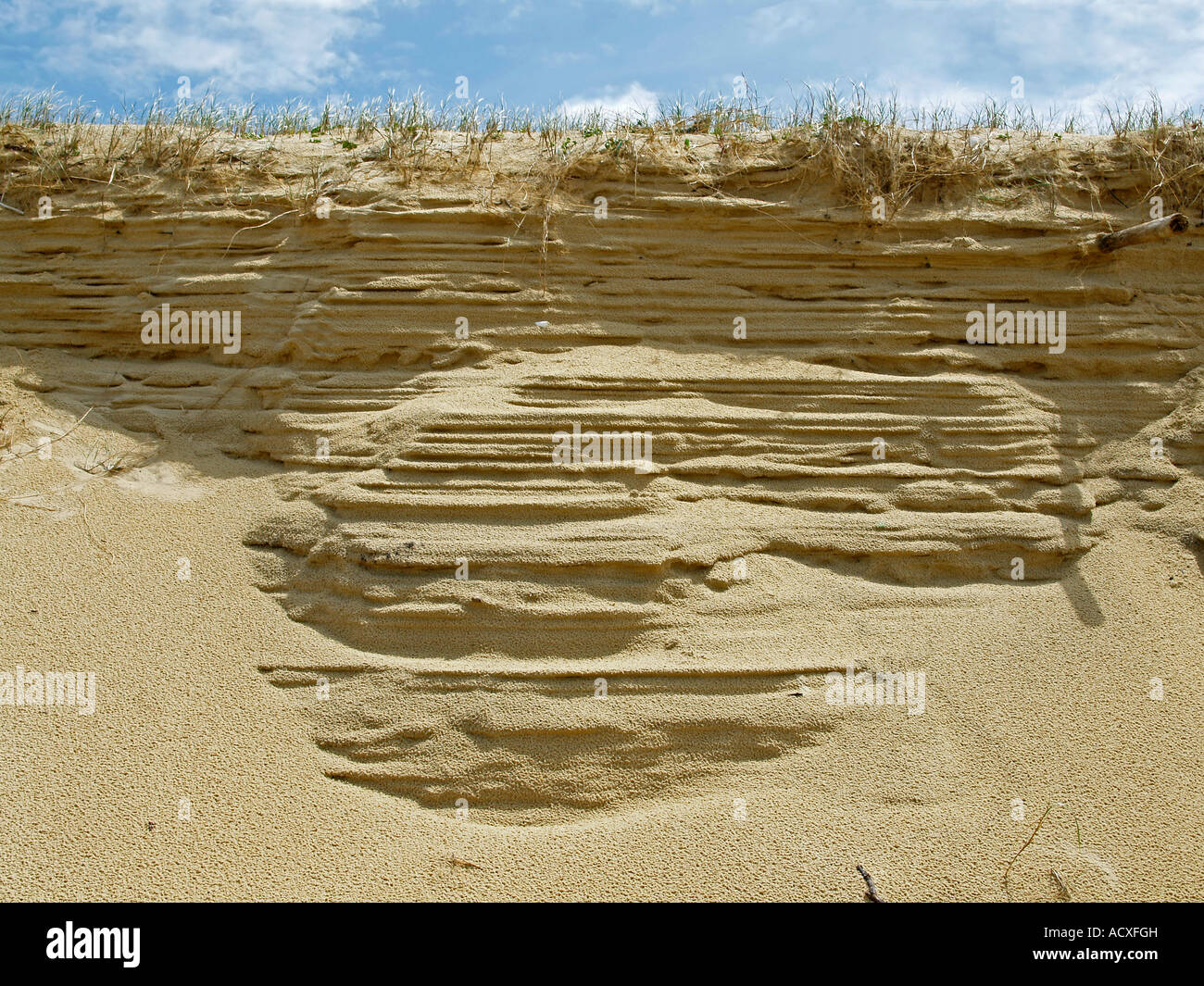 erosion of sand in dunes at coast Stock Photo - Alamy