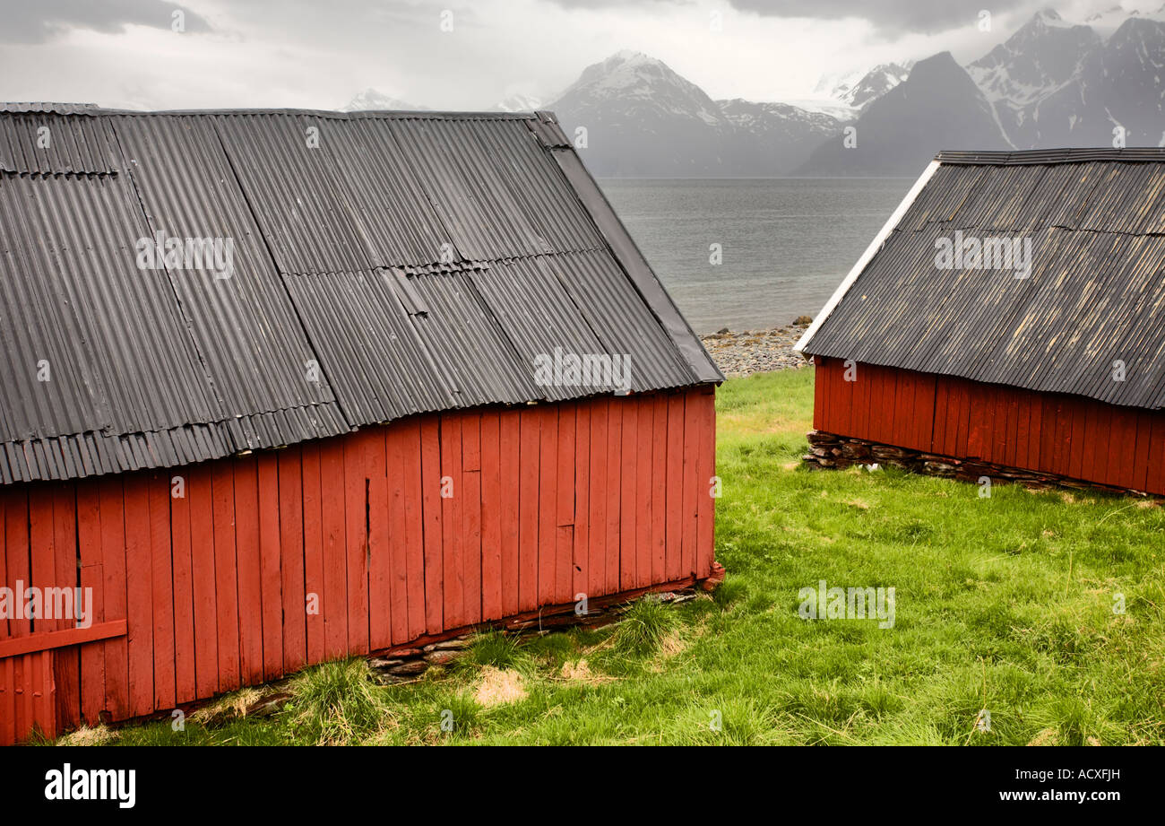 Red sheds on the shore, Djupvik, Troms, Norway, Europe Stock Photo - Alamy