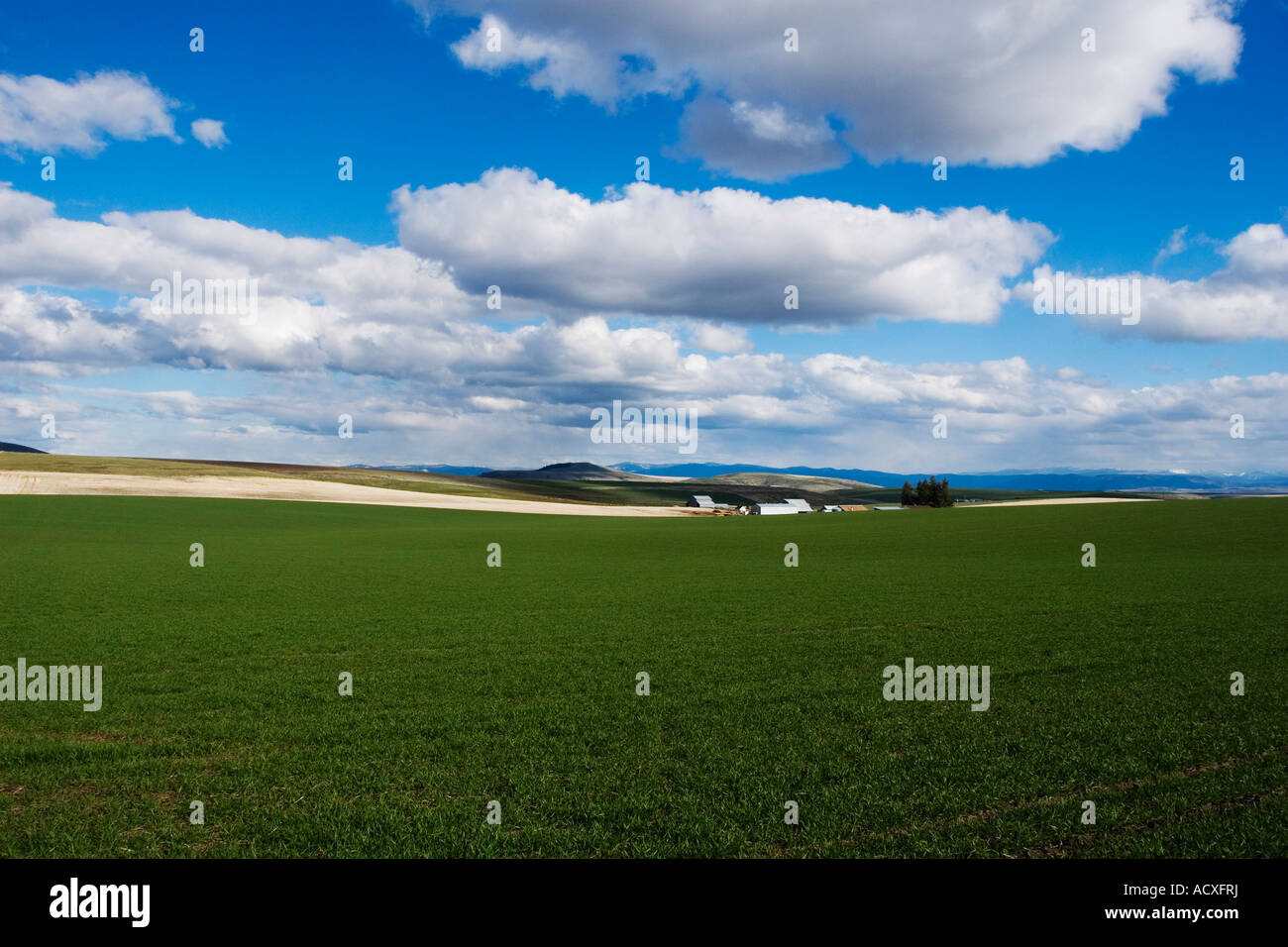 Cumulus clouds over prairie hi-res stock photography and images - Alamy