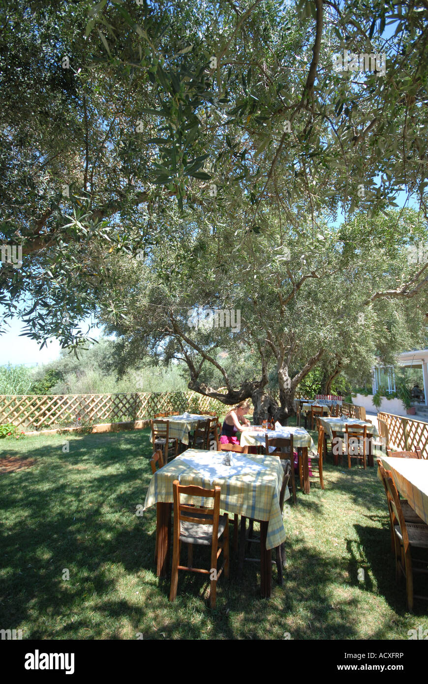 CRETE Taverna garden in olive grove in Ravdouha on the Rodhopou ...