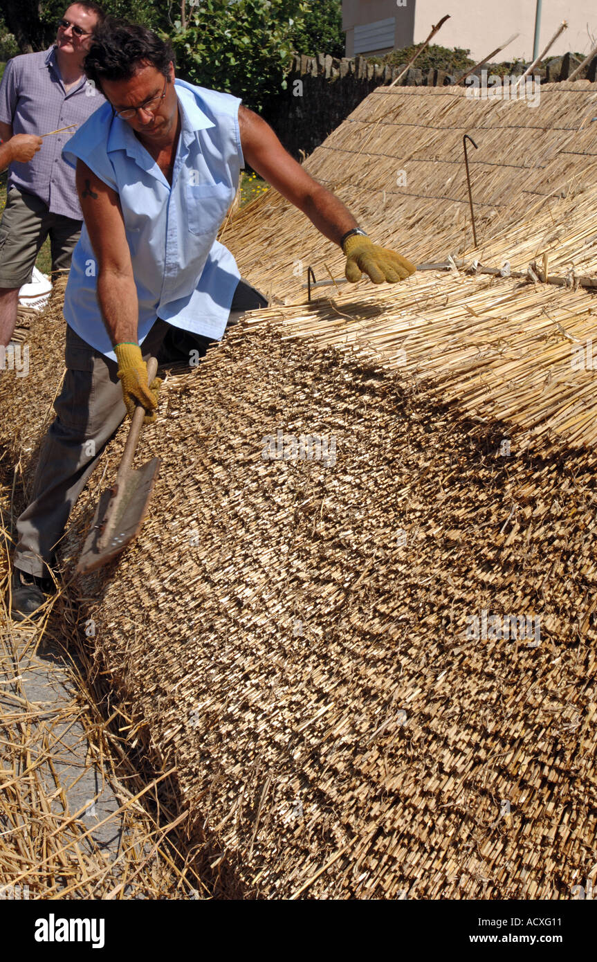 Demonstration of thatching Stock Photo - Alamy