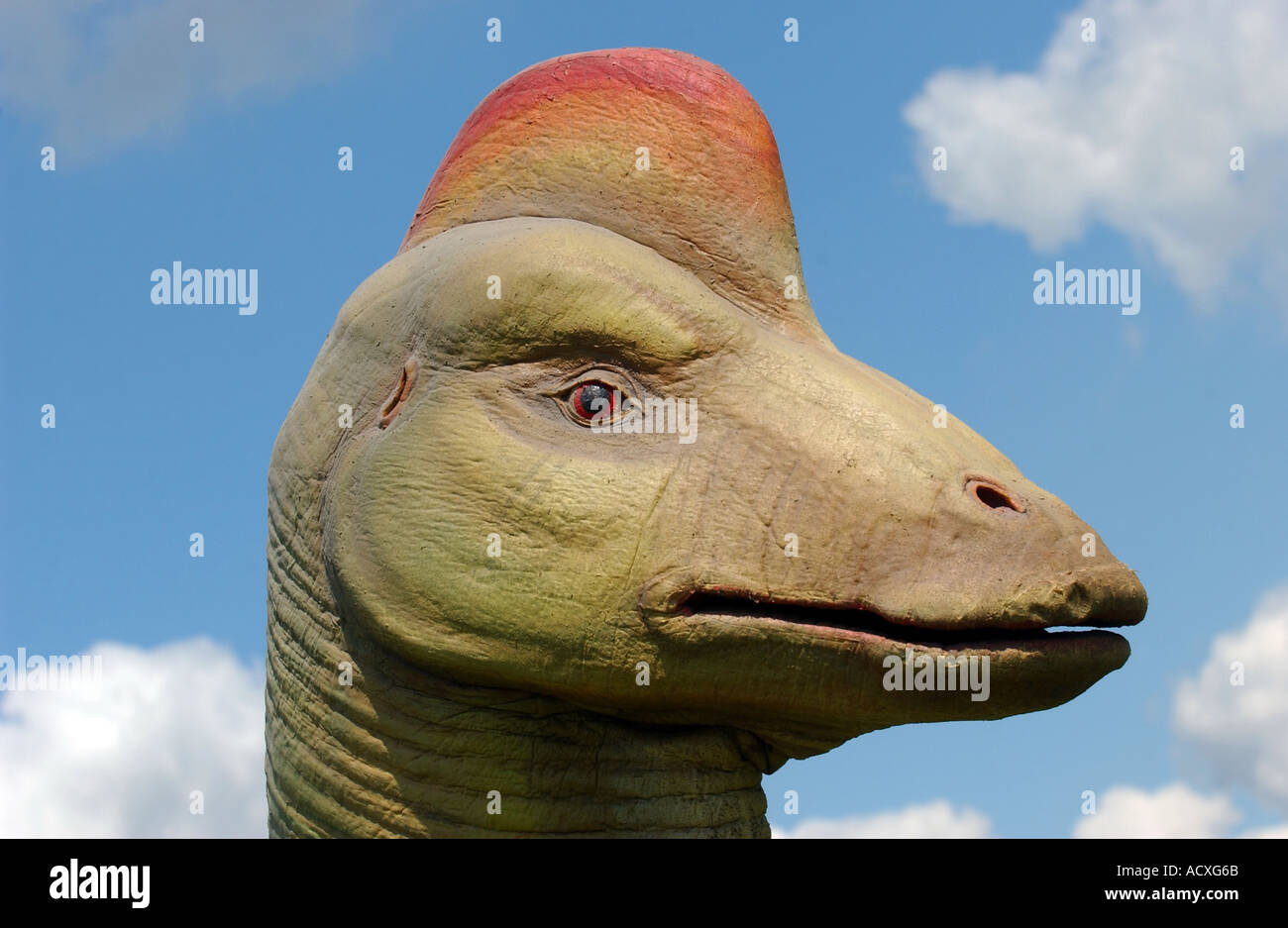 Head of model of a dinosaur hi-res stock photography and images - Alamy